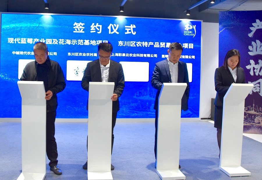 昆明市东川区小江干热河谷特色农业产业园在上海市举行招商引资推介会_新华网